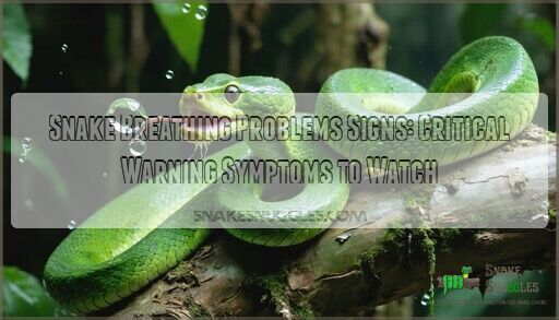 Snake Breathing Problems Signs: Critical Warning Symptoms to Watch