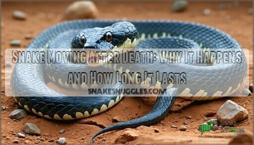 Snake Moving After Death: Why It Happens and How Long It Lasts