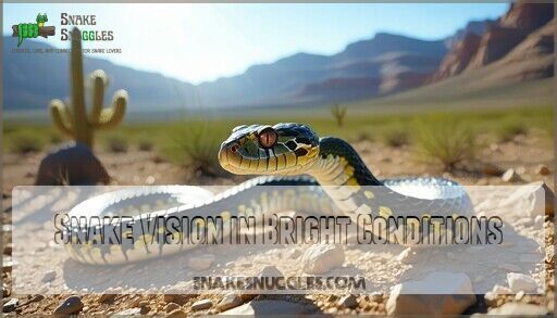 Do Snakes Have Good Eyesight? The Shocking Truth About Snake Vision!