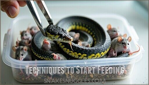 What Do Newborn Snakes Eat? Complete Baby Snake Feeding Guide
