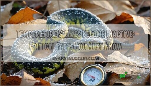 Temperature Snakes Become Inactive: Critical Facts You Must Know