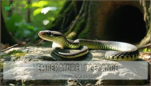 Rat Snake Natural Habitat: Complete Guide to Where They Live & Thrive