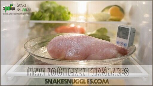How to Feed a Snake Chicken Safely