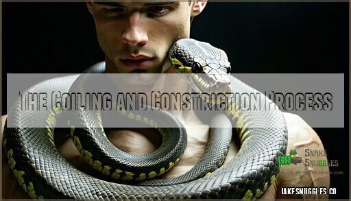 Boa Constrictor Attack: How to Survive and Escape Deadly Coils