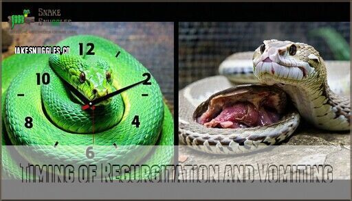 Snake Regurgitated Food What to Do: Expert Care Guide for Recovery