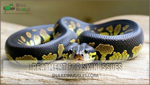 Ball Python Skin Problems: 10 Signs & Fast Treatment Solutions