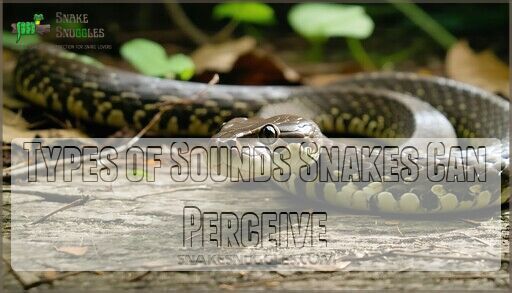 Do Snakes Have a Sense of Hearing? The Surprising Truth Revealed