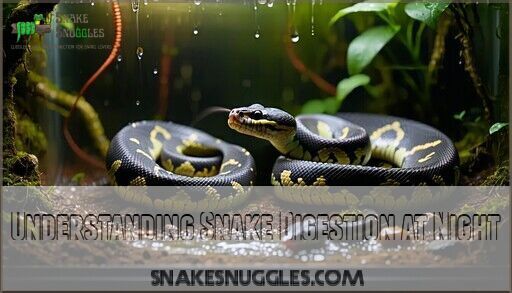 How to Feed a Snake at Night: Safe Nocturnal Feeding Guide 2025