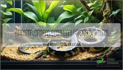 Ball Python Humidity Levels Explained: Complete Care Guide 2025