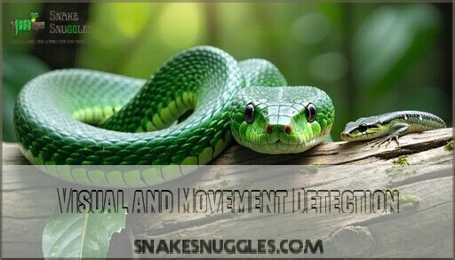How Do Snakes Hunt? Deadly Senses & Silent Strike Techniques