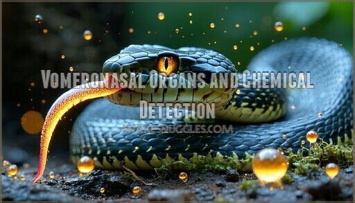 How Do Snakes Taste Things? Inside The Surprising Science of Snake Senses
