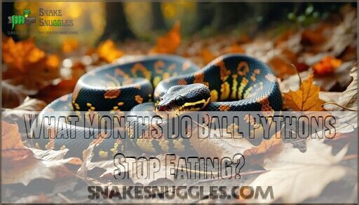 Ball Python Going Without Eating: 7 Reasons & Quick Solutions