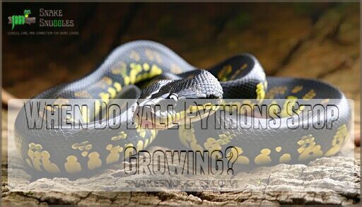 Ball Python Time to Grow: Complete Size Chart & Growth Rate Guide