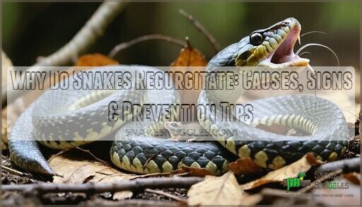 Why Do Snakes Regurgitate: Causes, Signs & Prevention Tips
