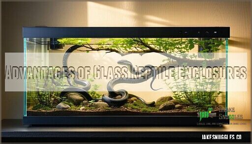 Snake Housing Glass: Pros, Cons & Expert Tips for Safe Reptile Enclosures