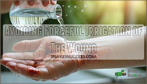 Safe Snake Wound Care Practices: Essential Steps to Prevent Infection