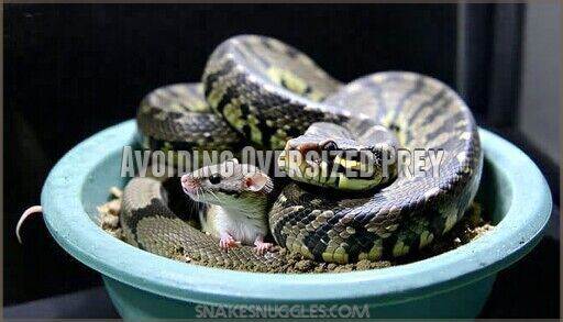 Ball Python Feeding Guide: Size Chart, Diet & Schedule Tips