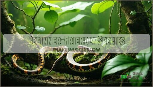 Best Pet Snake Guide: Top Beginner-Friendly Species for 2025