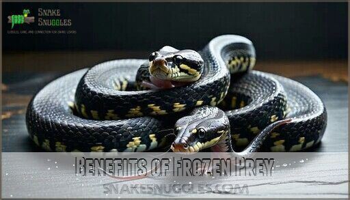 What to Feed a Pet Snake: Complete Guide to Safe Feeding Practices