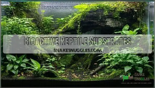 Best Reptile Habitat Materials: Top 6 Safe Substrates for 2025