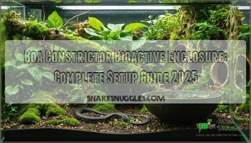 Boa Constrictor Vs Python: 10 Key Differences You Need to Know (2024)