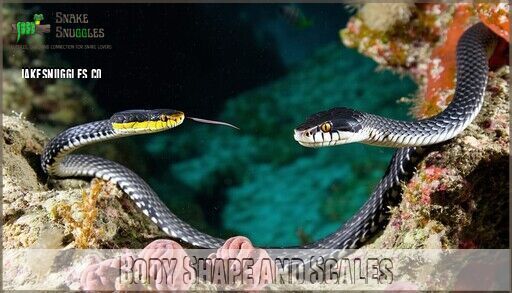 Coral Reef Snake Marine Habitats: Adaptations & Conservation Facts