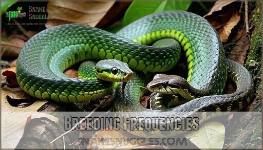 How Often Do Snakes Breed: Complete Guide to Reproductive Cycles
