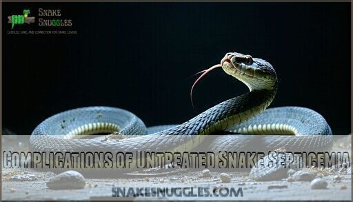 What Are The Symptoms of Snake Septicemia? Warning Signs & Treatment