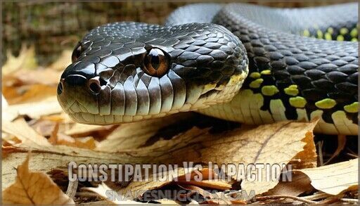 What Does Snake Constipation Look Like? Signs & Treatment Guide