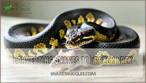 What to Feed a Pet Snake: Complete Guide to Safe Feeding Practices