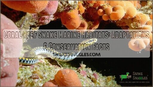 Coral Reef Snake Marine Habitats: Adaptations & Conservation Facts
