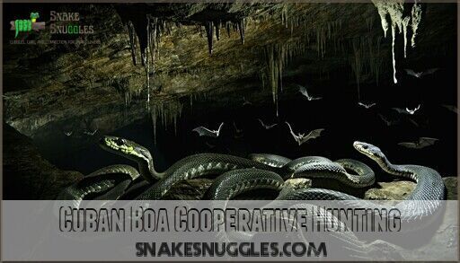 Large Snake Species Profiles: 2025's Record-Breaking Giants Found