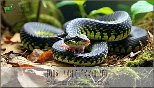 Hognose Snake Care Guide: Facts, Habitat, Behavior & Breeding Tips