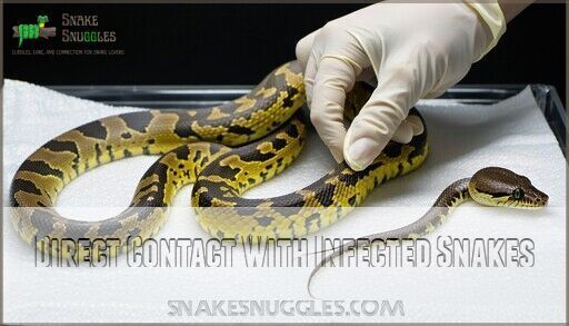 My Snake Has a Fungal Skin Disease: Signs, Treatment & Prevention