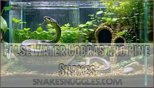 Pet Snake Species List: Best Beginner & Advanced Options (2025)