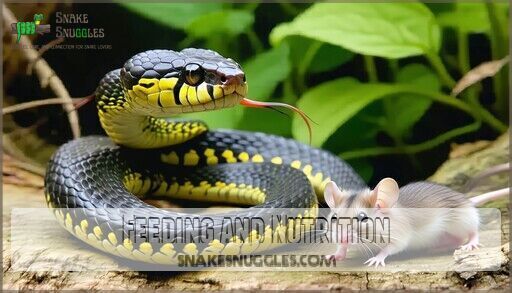 Hognose Snake Morphs Complete Guide: Types, Prices, Care & Breeding Tips