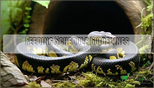 Ball Python Feeding Guide: Size Chart, Diet & Schedule Tips
