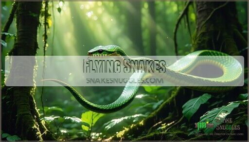 Unique Looking Snake Breeds List: The Most Unusual and Colorful Snakes