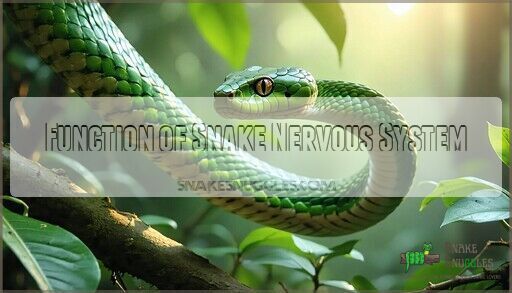 Recognizing Snake Neurological Issues: Signs & Symptoms Guide