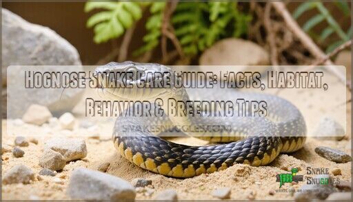 Hognose Snake Morphs Complete Guide: Types, Prices, Care & Breeding Tips