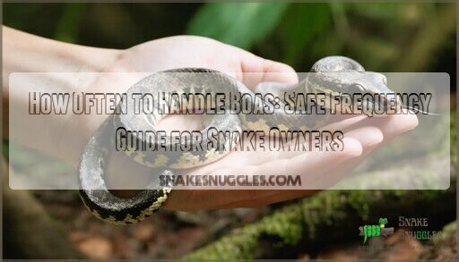 How Often to Handle Boas: Safe Frequency Guide for Snake Owners