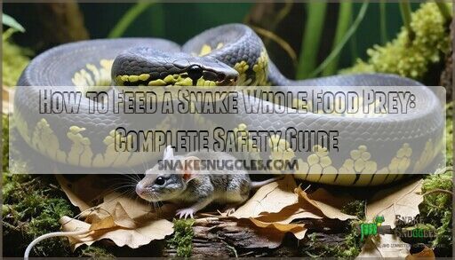 How to Feed a Snake Whole Food Prey: Complete Safety Guide