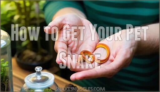 Choosing The Right Snake for Your Lifestyle: Beginner's Guide