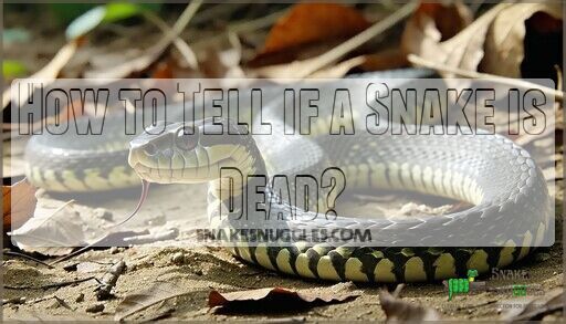 How to Tell if a Snake is Dead or Hibernating: Key Symptoms Explained