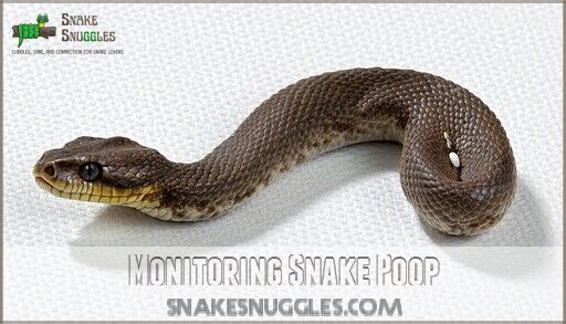 Healthy Snake Poop Appearance: Signs, Colors & What's Normal