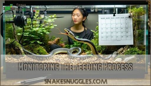 Feeding a Pet Snake Dos and Don'ts: Expert Safety Guide