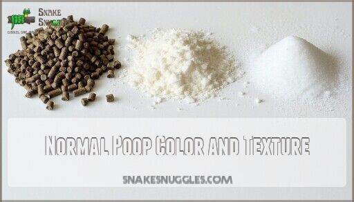 What Does Snake Constipation Look Like? Signs & Treatment Guide