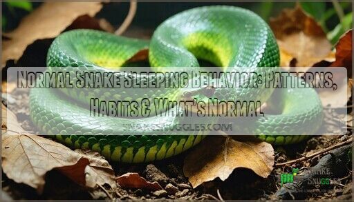 How Does a Snake See? Surprising Secrets of Serpent Vision Revealed