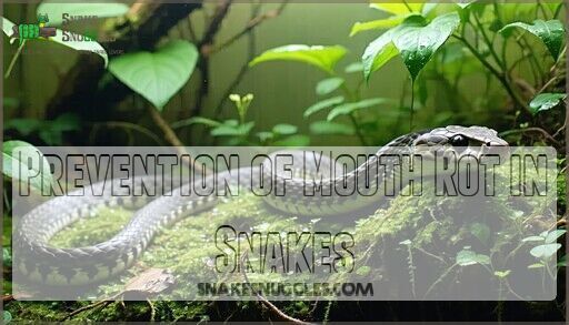What Does Snake Mouth Rot Look Like? Signs, Causes & Essential Treatment