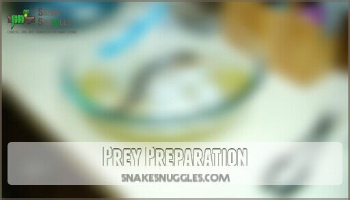 Snake Nutritional Health Advice: Complete Feeding Guide for Owners